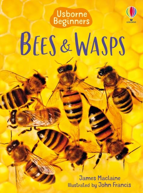 Bees and Wasps | Knowledge Tower