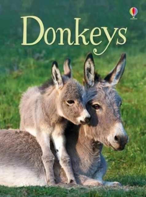 DONKEYS | Knowledge Tower