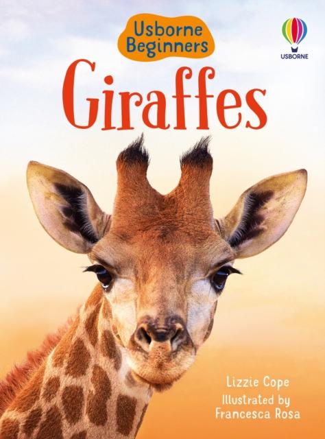 Giraffes | Knowledge Tower