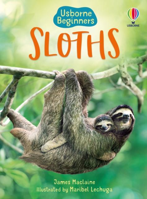 SLOTHS | Knowledge Tower