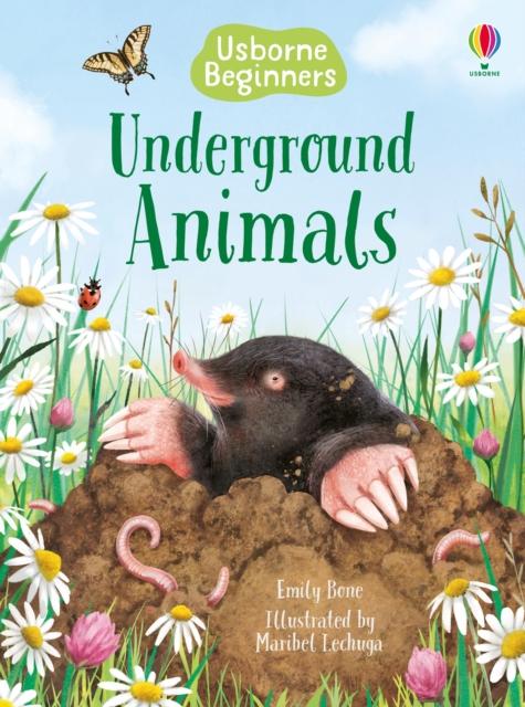 Underground Animals | Knowledge Tower
